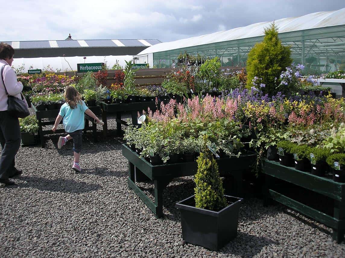 Ashbrook Nursery – Angus Tourism Cooperative