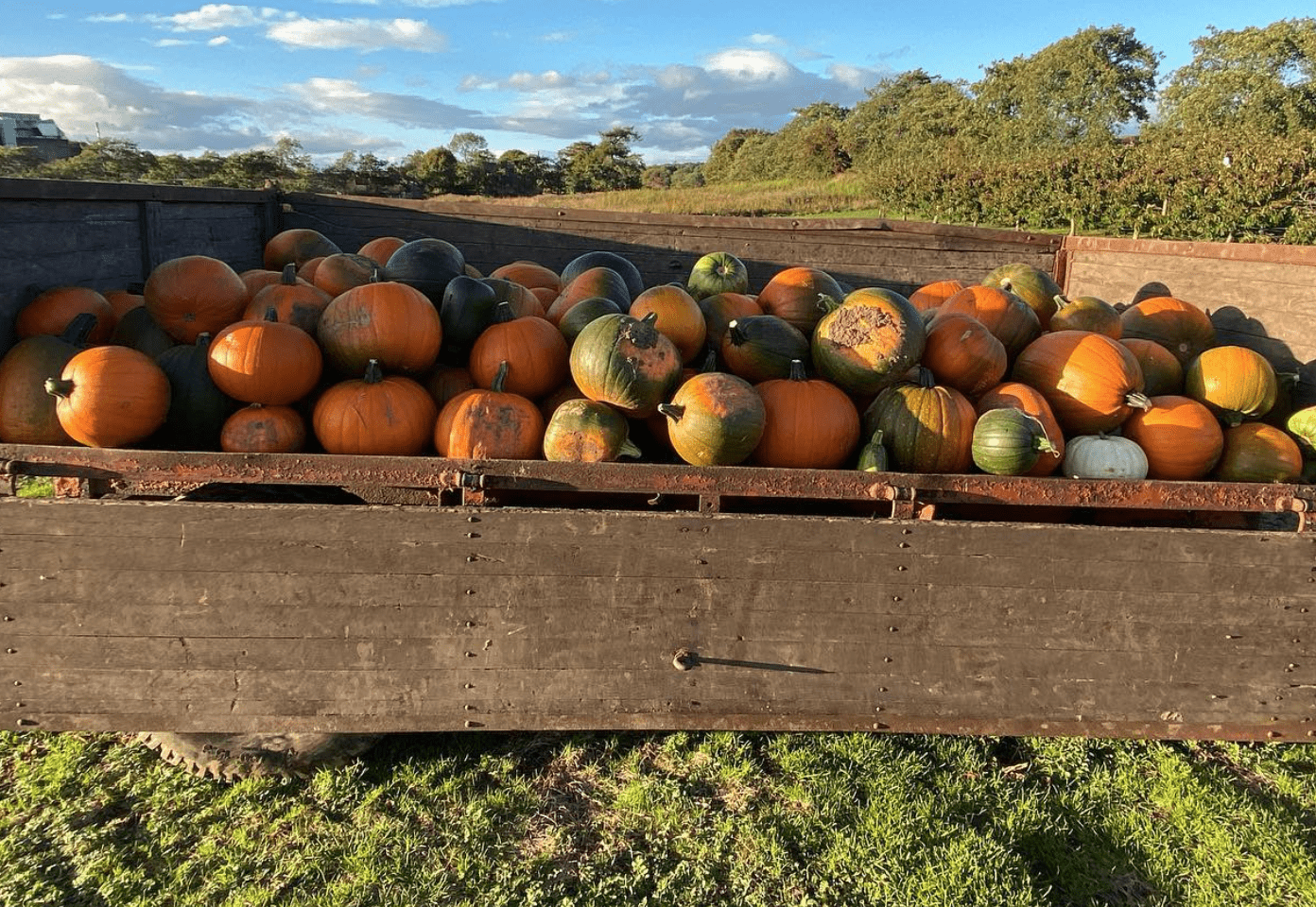 Just your typical weekend in Angus – Angus Tourism Cooperative